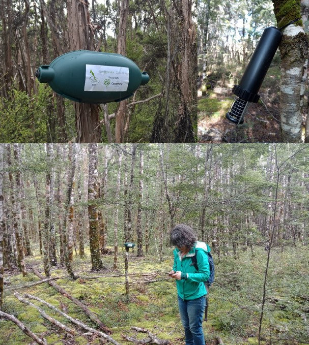 A comparison between bird monitoring techniques – 2040