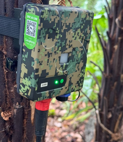 Audio bird monitor now available on DOC AI Cam – 2040