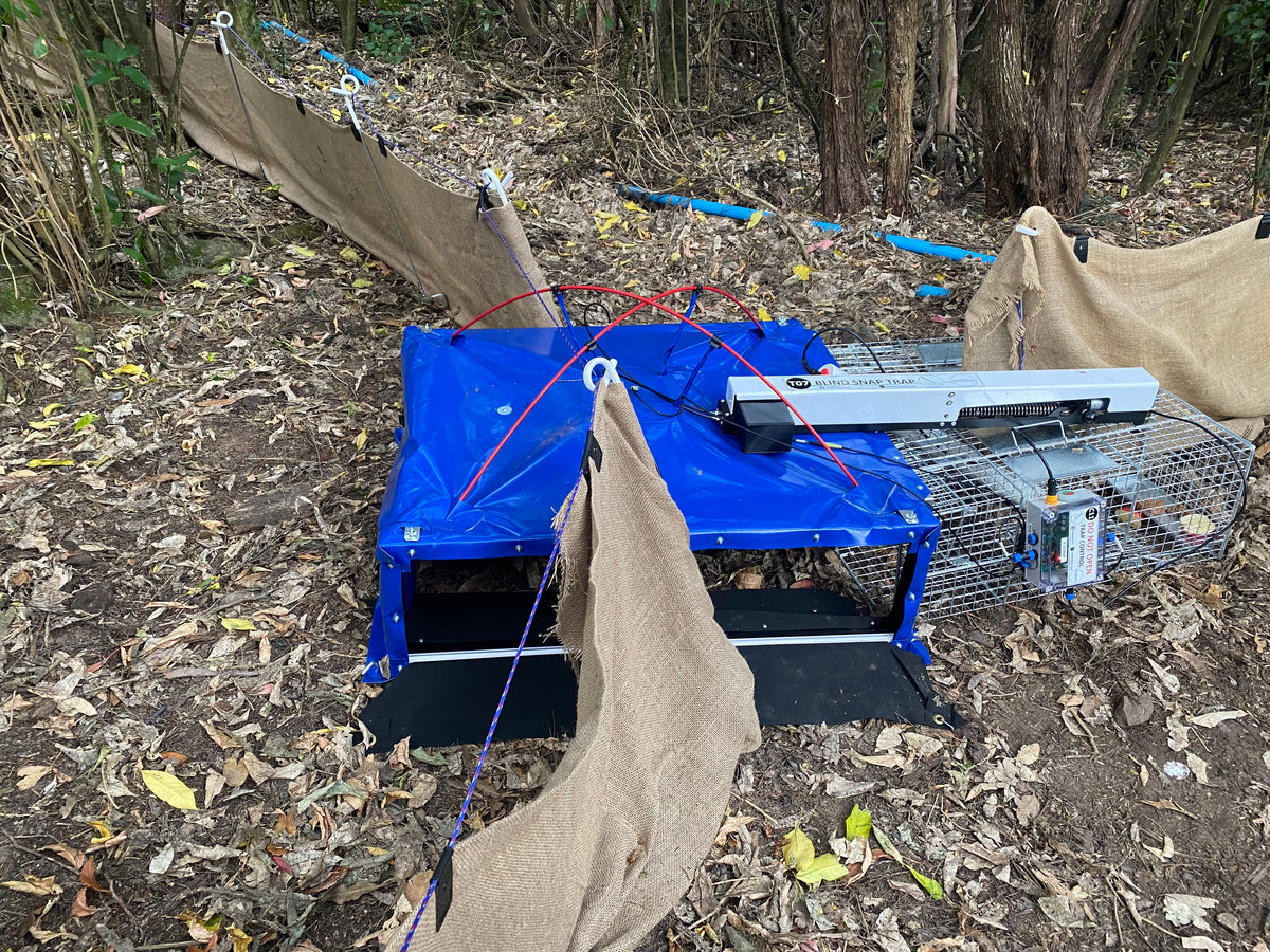 Traps powered by Artificial Intelligence – 2040