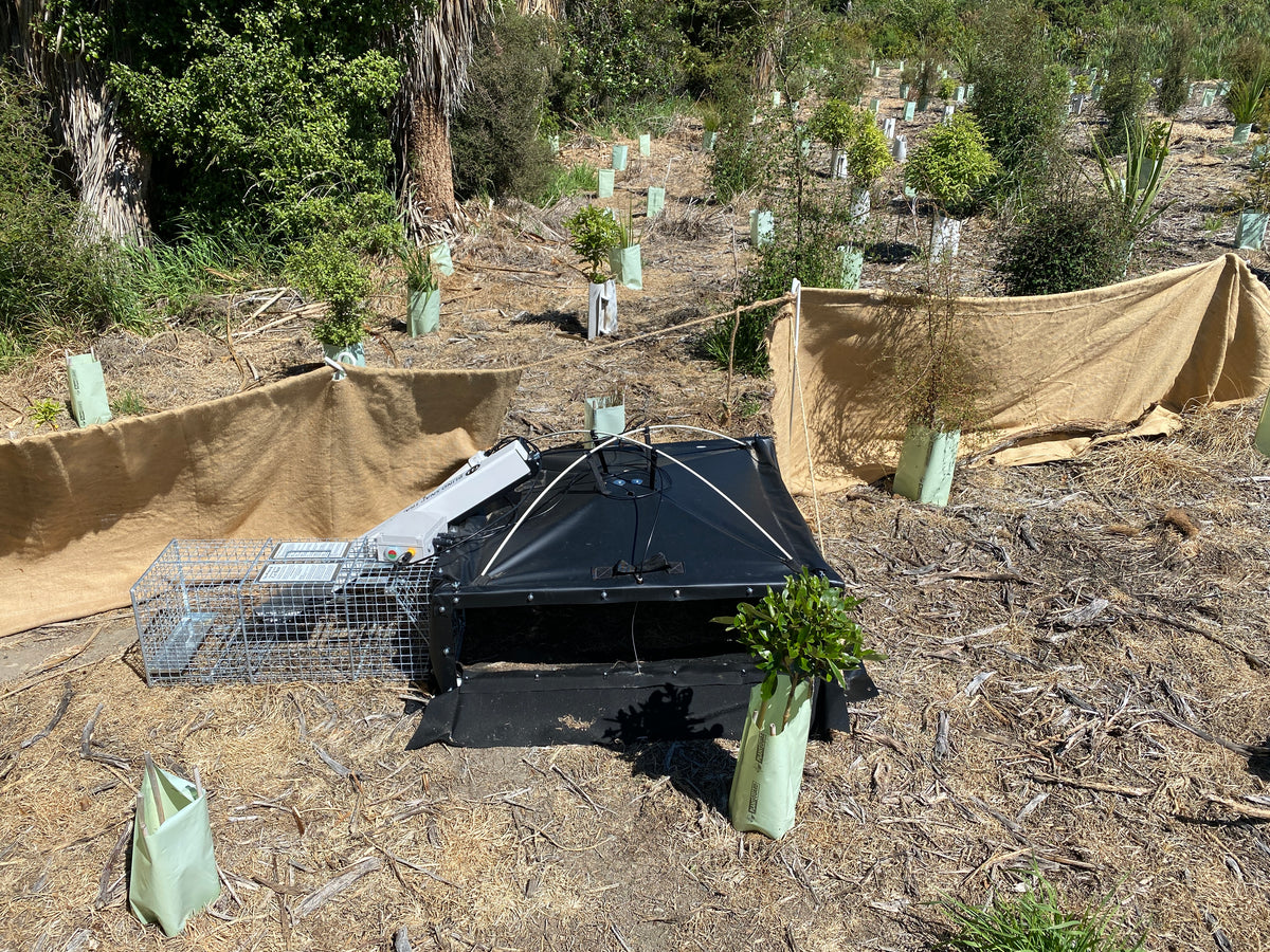 Hazing to improve trap effectiveness. 25m length – 2040